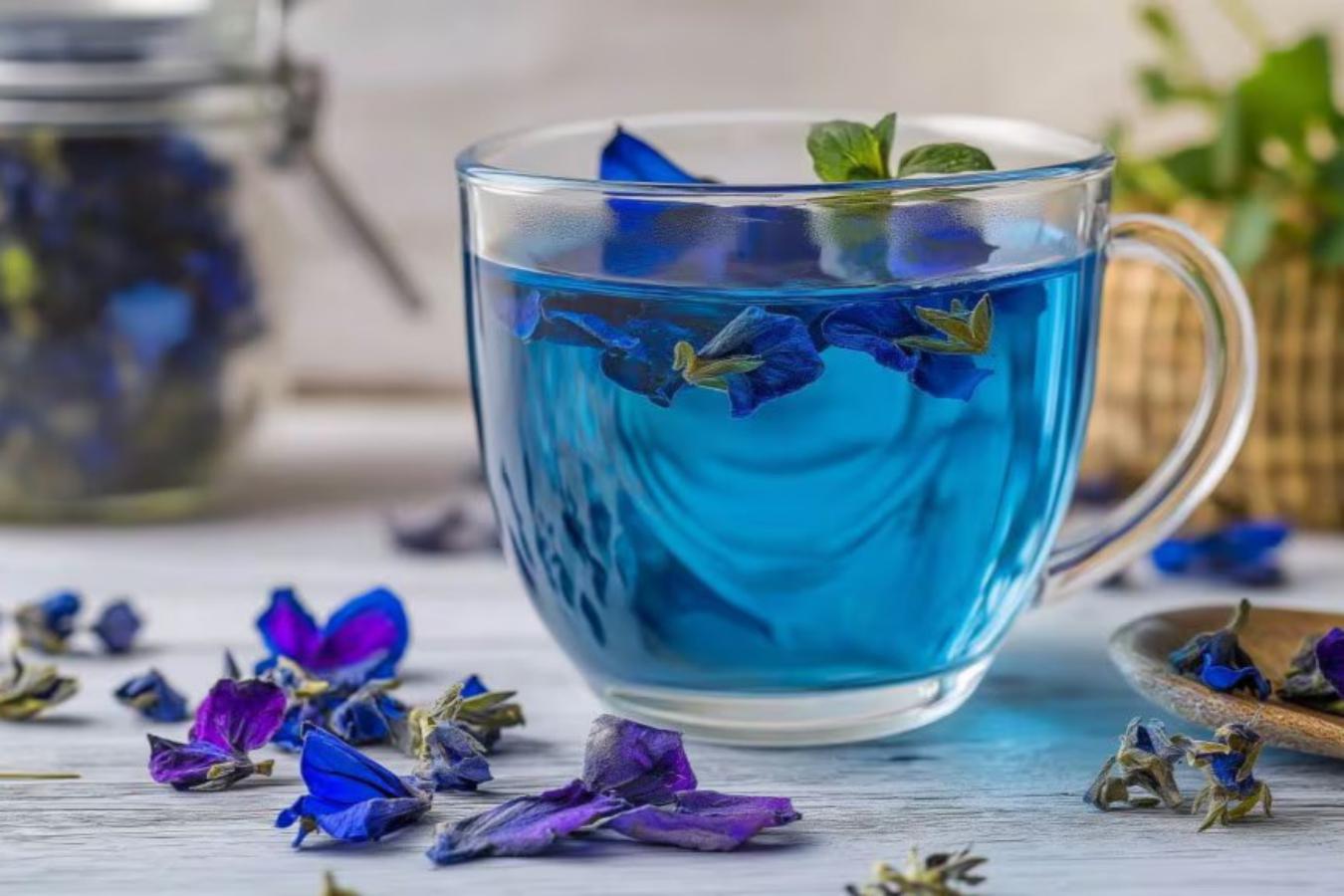 Sudahkah Anda Mencoba Teh Biru Bunga Telang untuk Kulit Glowing ...